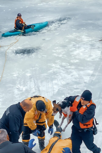 WITH VIDEO: Firefighters rescue Alpena man, dog from Thunder Bay River ...